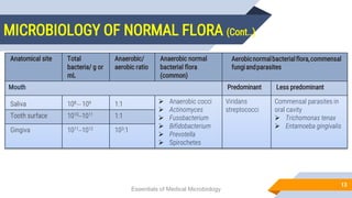 Normal-Human-Microbiota.pptx