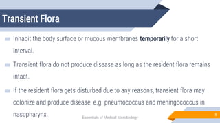 Normal-Human-Microbiota.pptx