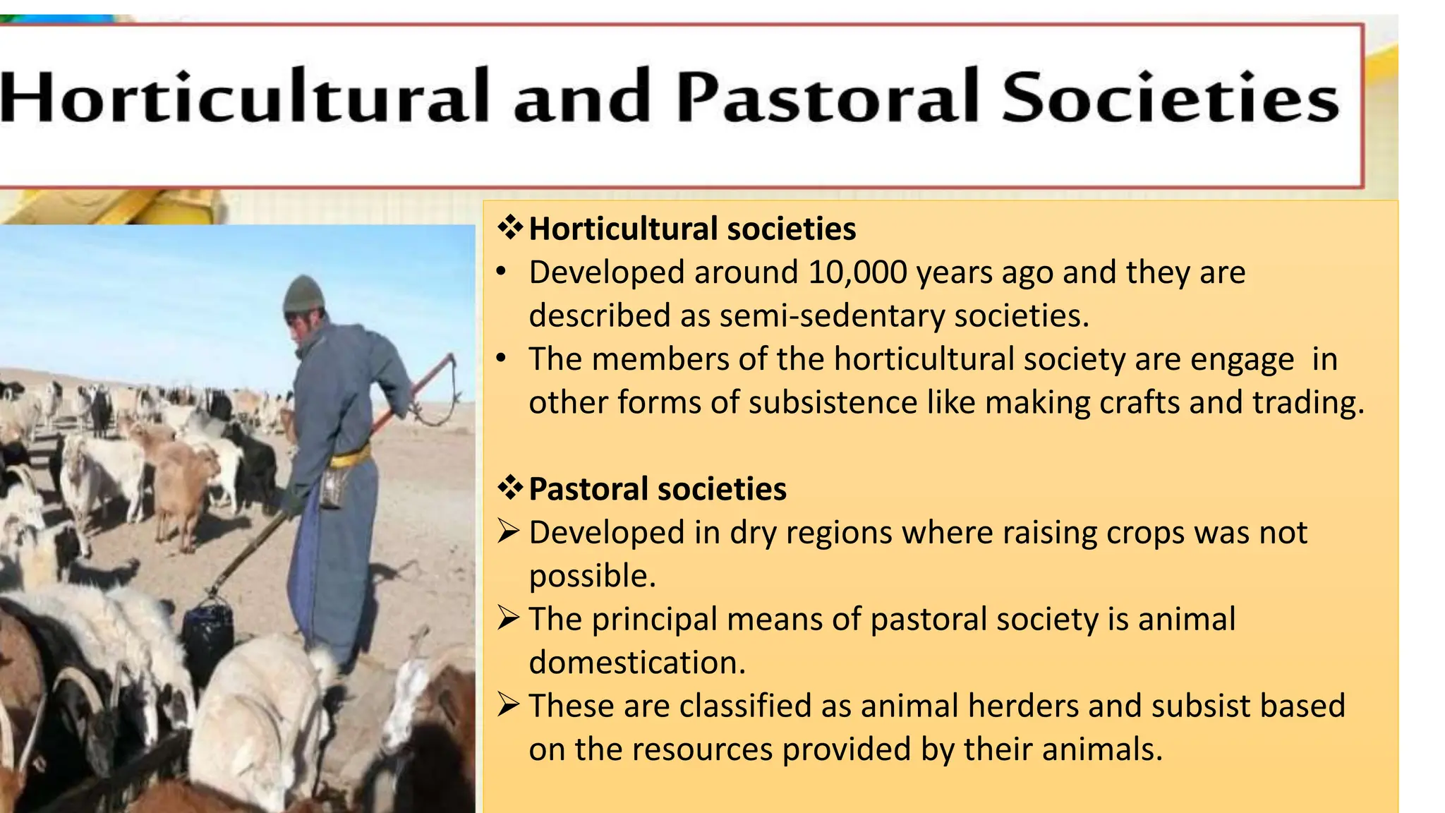 CHAPTER-7-THE-HUMAN-PERSON-IN-THE-SOCIETY-1.pptx