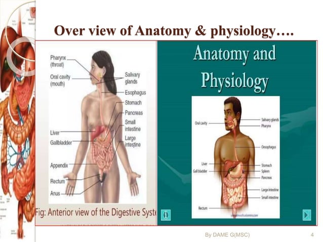 Chapter-7 GIT Disorders.ppt