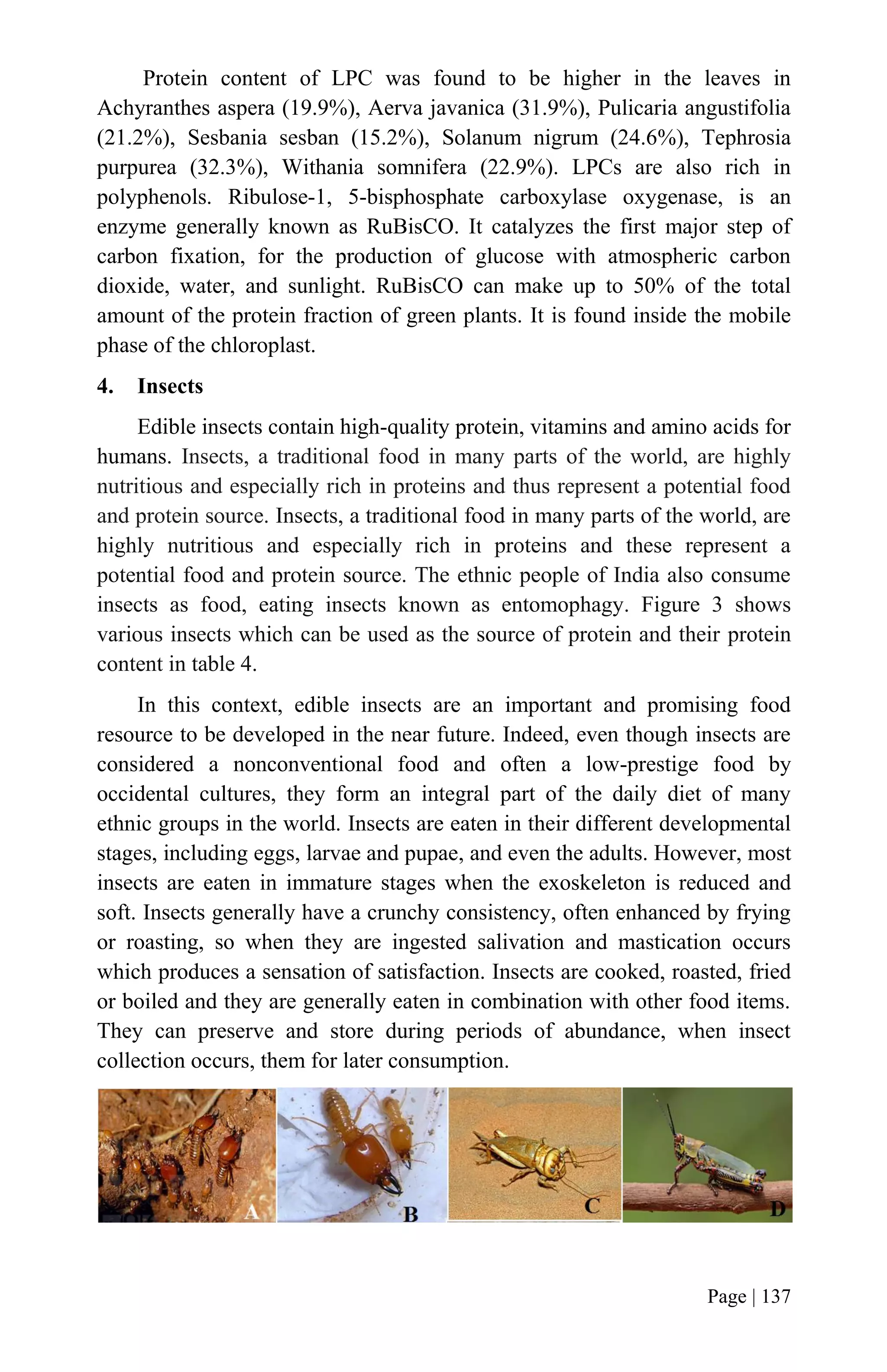 Novel Protein Foods: Alternative Sources of Protein for Human ...