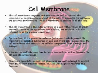 Class8 Science Chapter8 Cell | PPTX