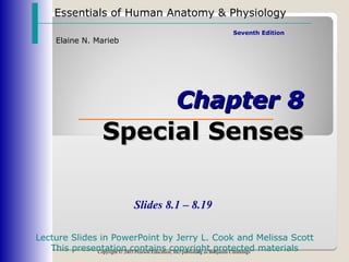 chapter-8-pptsenses-1-160217162234.ppt Special sences | PPT | Eye and ...