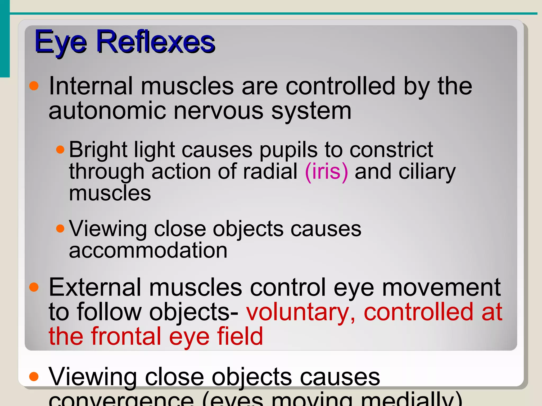 Special Senses | PPT | Eye and Vision Conditions | Diseases and Conditions