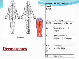 Chapter 8-spinal anaesthesia | PPTX