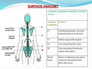 Chapter 8-spinal anaesthesia | PPT