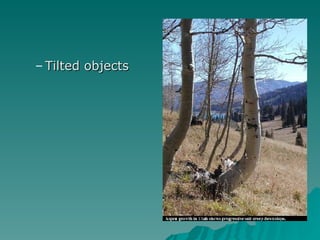 8.1 Mass Movements | PPT