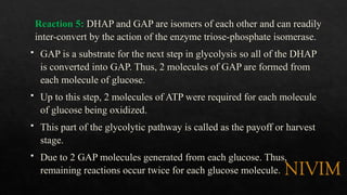 Chapter -8 Metabolism of carbohydrates .pptx