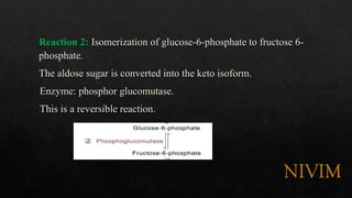 Chapter -8 Metabolism of carbohydrates .pptx