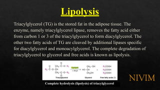 Biochemistry Chapter -8 (Part -2) Lipid Metabolism | PPTX