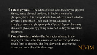 Biochemistry Chapter -8 (Part -2) Lipid Metabolism | PPTX