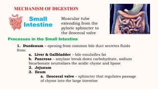 CHAPTER-9-Digestion-and-Absorption (1).pdf