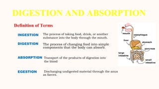 CHAPTER-9-Digestion-and-Absorption (1).pdf