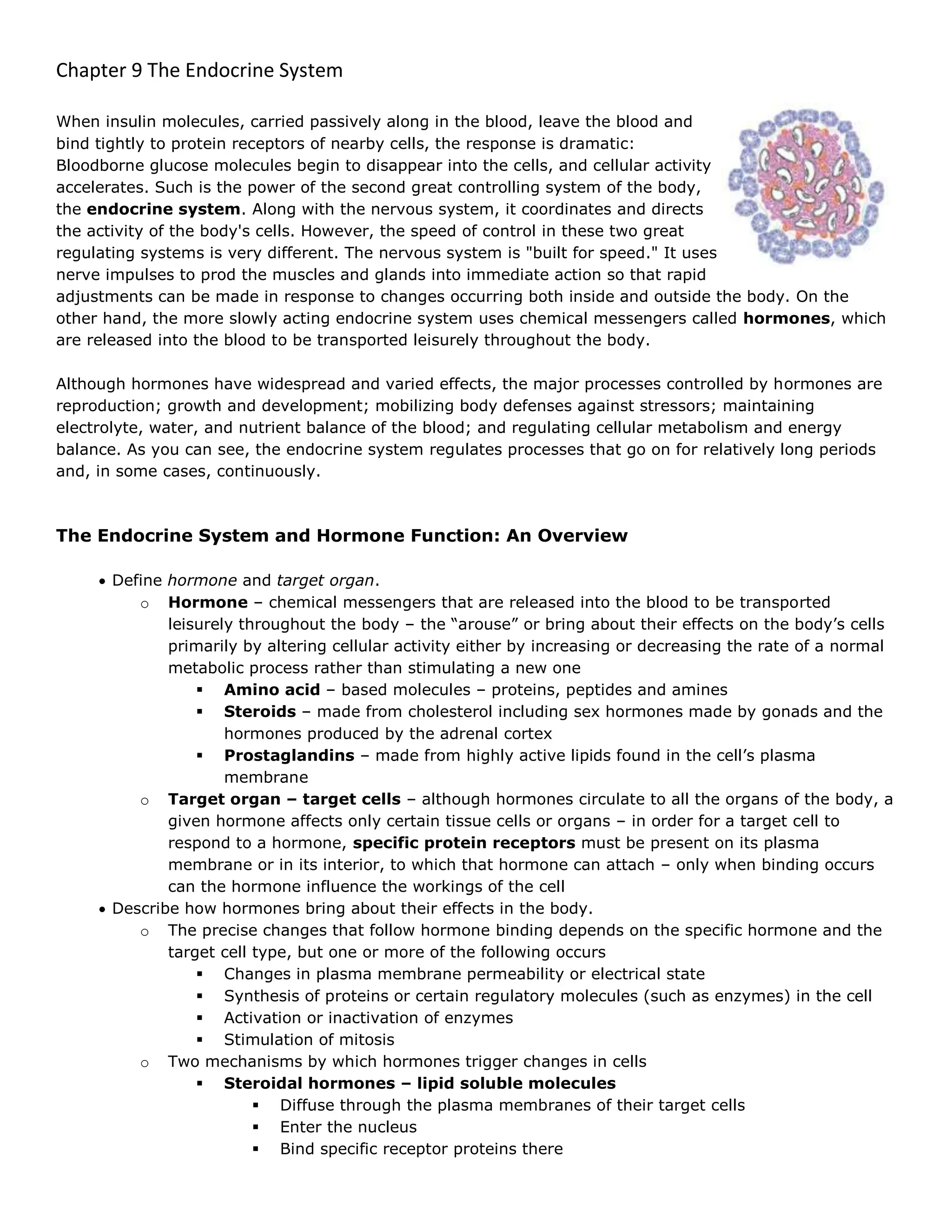 Chapter 9- The- Endocrine- System.docx