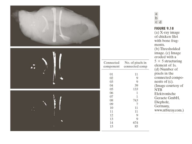 Chapter 9 morphological image processing | PPTX