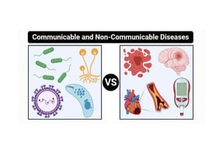 Communicable and Non Communicable Diseases | PPTX