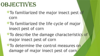 Applied Agricultural Entomology Insect pest of Corn | PPTX