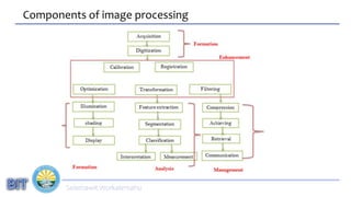 biomedical image processing analysis ppt | PPTX