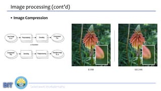 biomedical image processing analysis ppt | PPTX