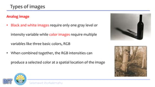 biomedical image processing analysis ppt | PPTX