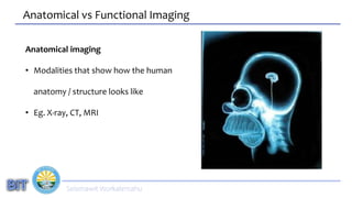 biomedical image processing analysis ppt | PPTX