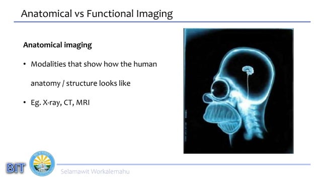 biomedical image processing analysis ppt | PPTX | Photo Editing ...