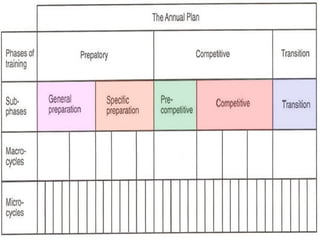 Components Of Periodization Training