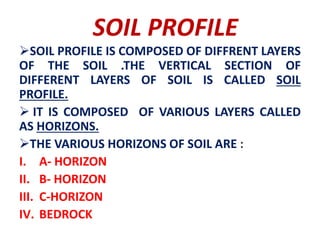 Chapter soil- class 7 th | PPTX