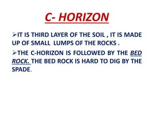 Chapter soil- class 7 th | PPTX