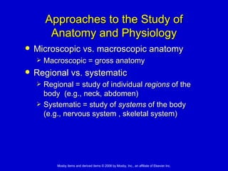 1. Introduction to Anatomy and Physicology | PPT