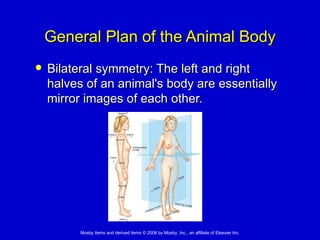 1. Introduction to Anatomy and Physicology | PPT