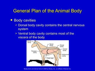1. Introduction to Anatomy and Physicology | PPT