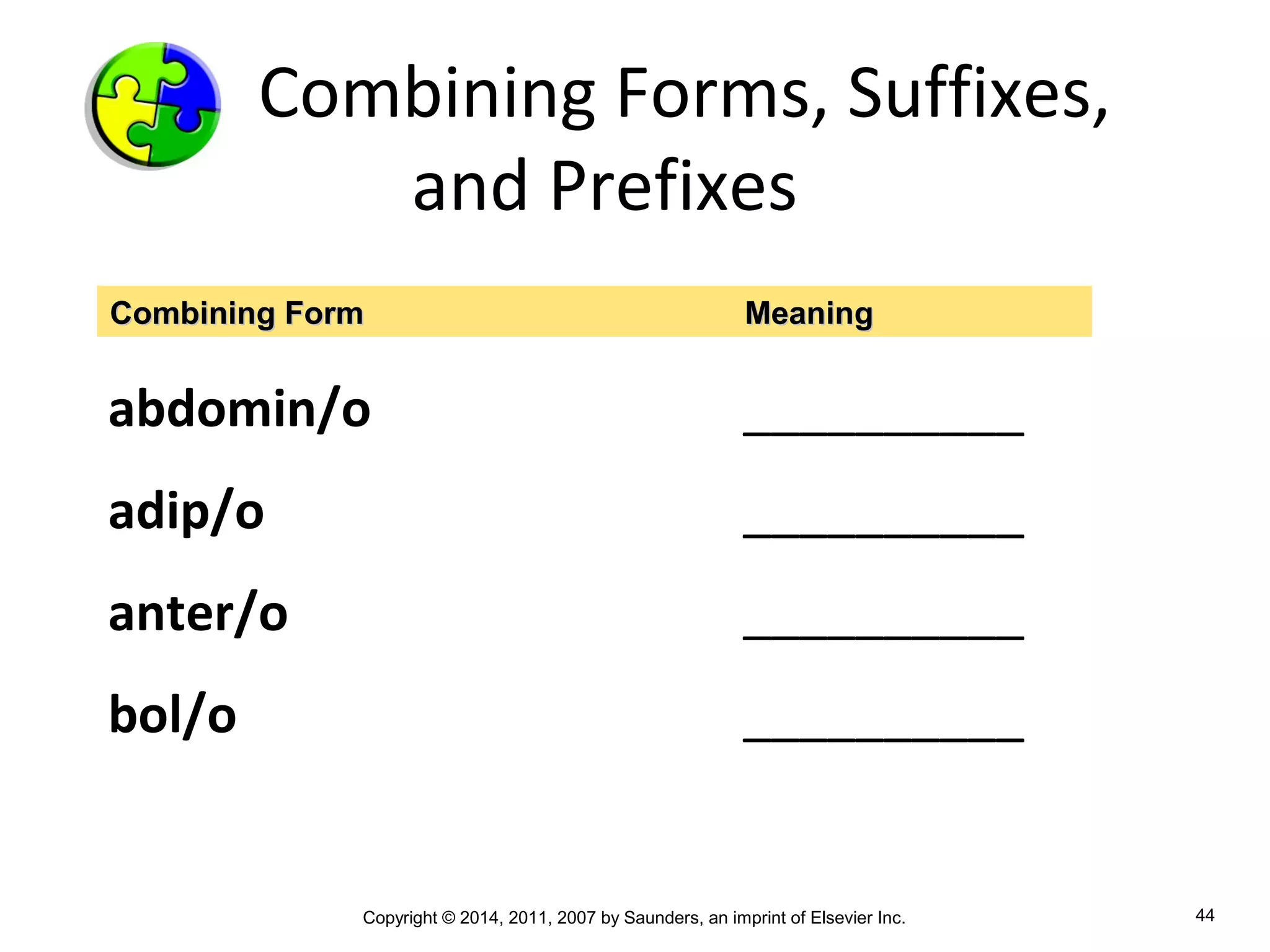 Medical Terminology Chapter 2 | PPT