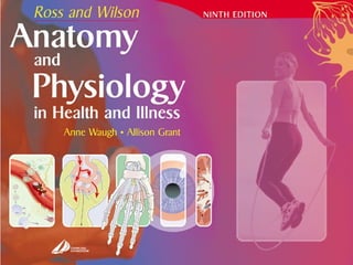 Chapter 002 chemistry of life | PPT