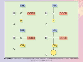 Chapter 002 chemistry of life | PPT