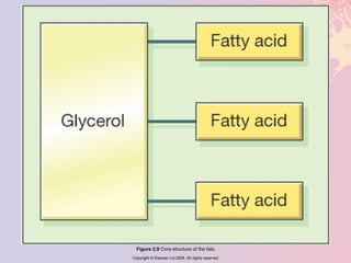 Chapter 002 chemistry of life | PPT