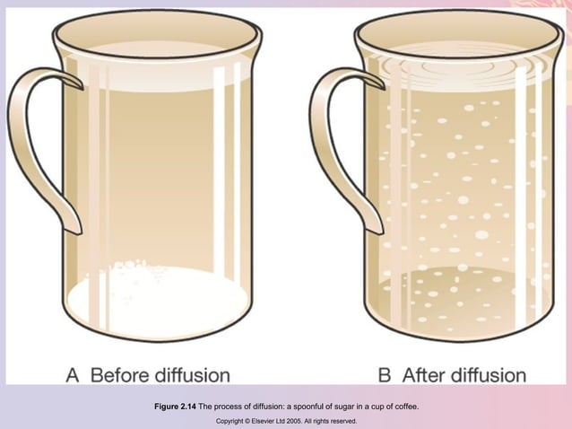 Chapter 002 chemistry of life | PPT