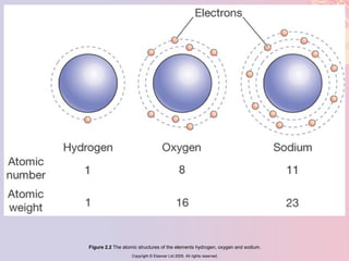 Chapter 002 chemistry of life | PPT