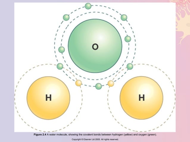 Chapter 002 chemistry of life | PPT