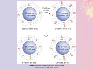 Chapter 002 chemistry of life | PPT