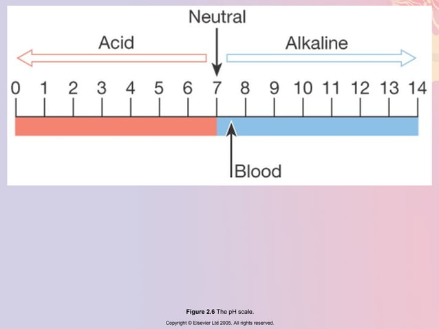 Chapter 002 chemistry of life | PPT