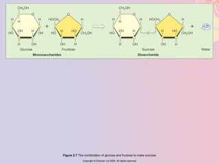 Chapter 002 chemistry of life | PPT
