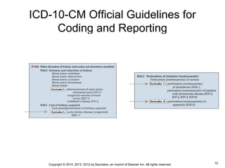 MO230 Chapter 003 | PPT