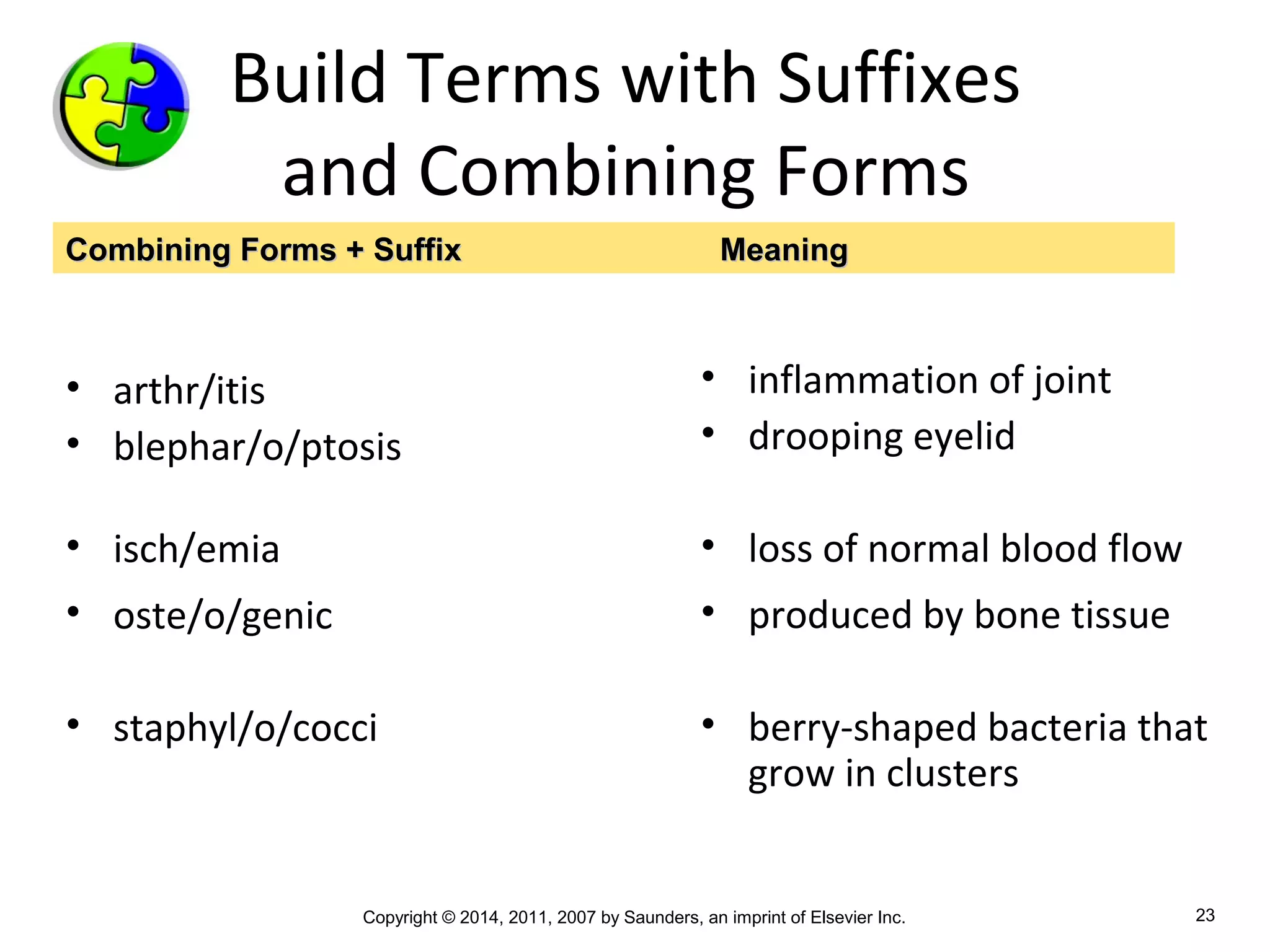 Medical Terminology Chapter 3 | PPT