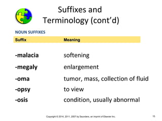 Medical Terminology Chapter 3 | PPT