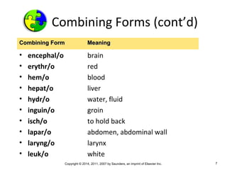 Medical Terminology Chapter 3 | PPT