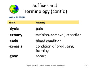 Medical Terminology Chapter 3 | PPT