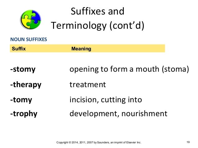 Medical Terminology Chapter 3 Medical Terminology Chapter 3