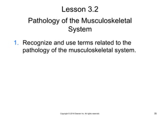 skeletal system and medical terminology. | PPTX