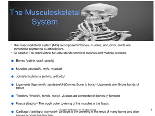 skeletal system and medical terminology. | PPTX